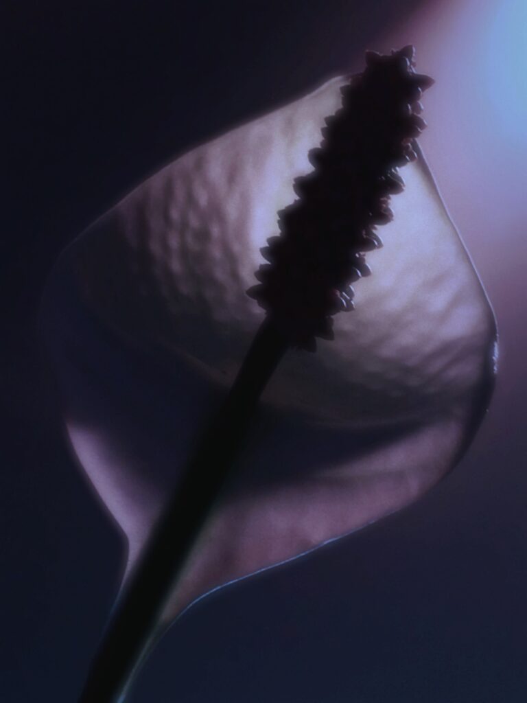 Bondage Restraint Custom: What Makes These 6 Options Irresistibly ...